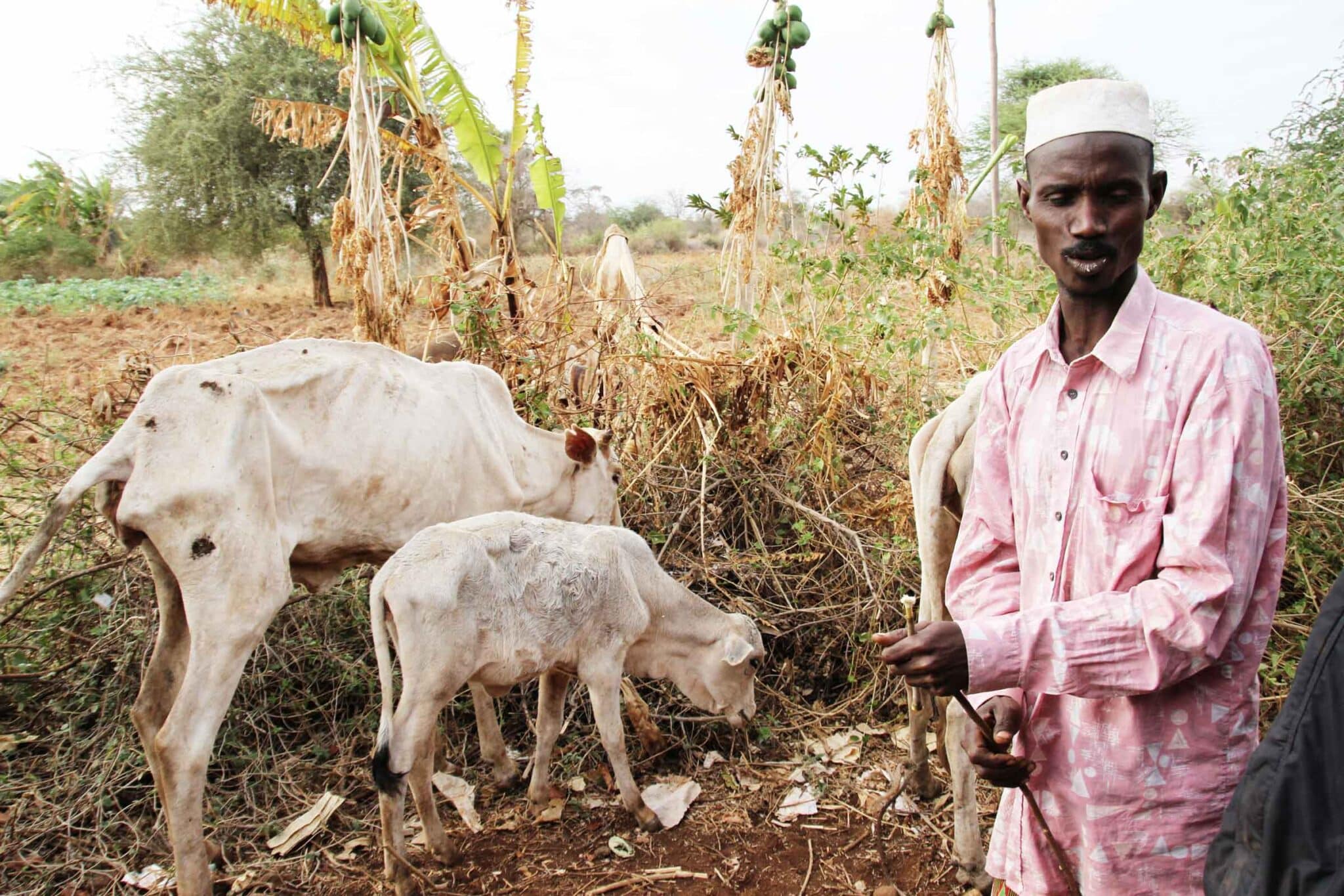Convoy Serves Horn of Africa Amid Drought